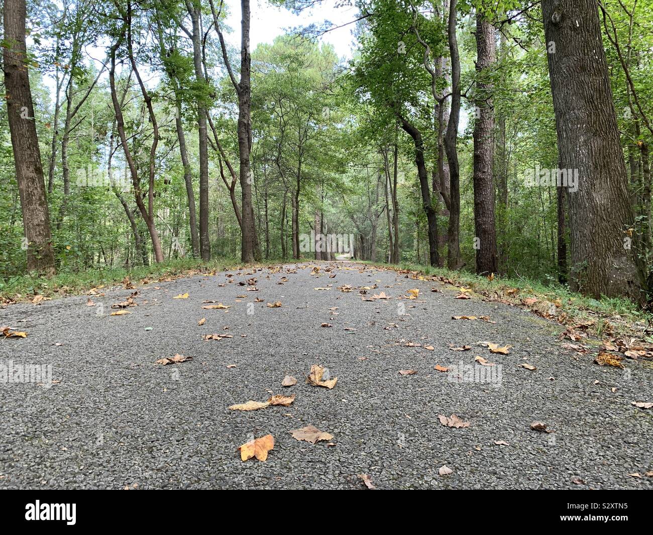 Empty trail hi-res stock photography and images - Alamy