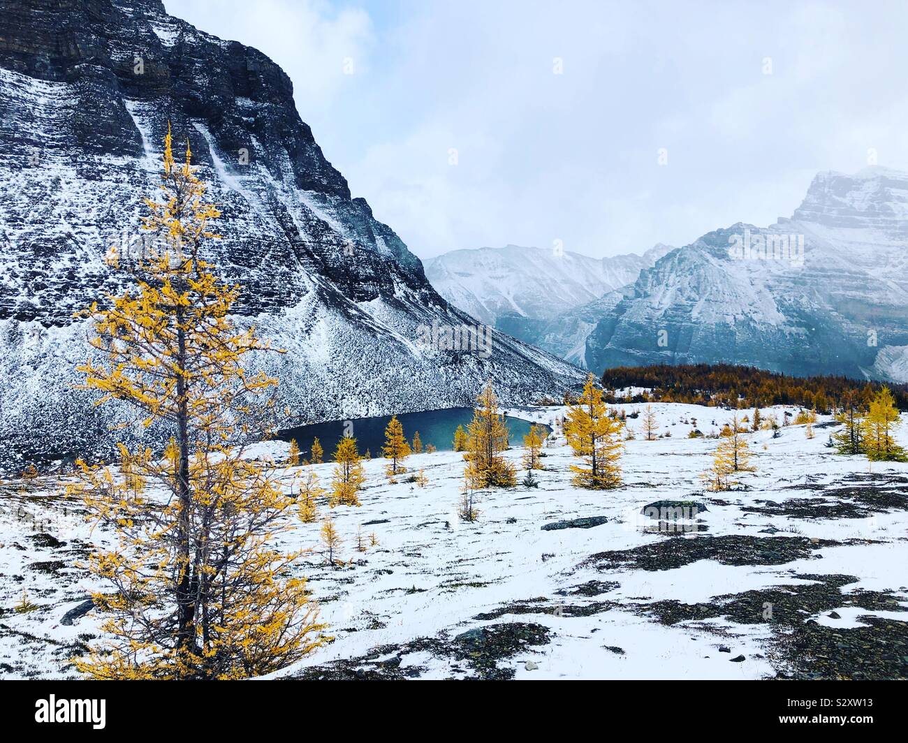 Yellow larches in mountains hi-res stock photography and images - Alamy