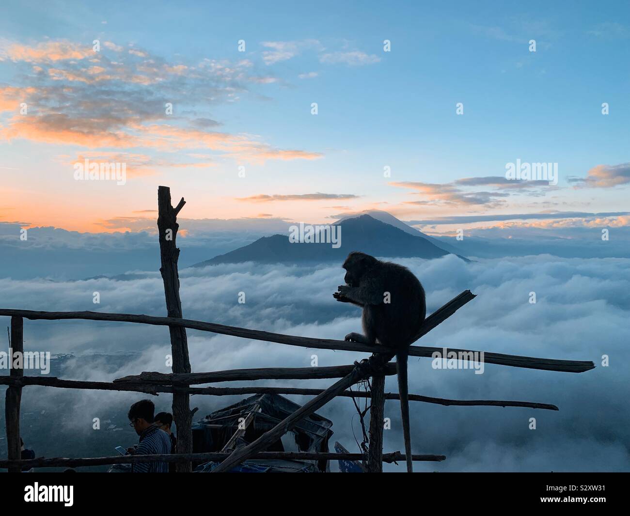 monkey at the top of a mountain Stock Photo - Alamy