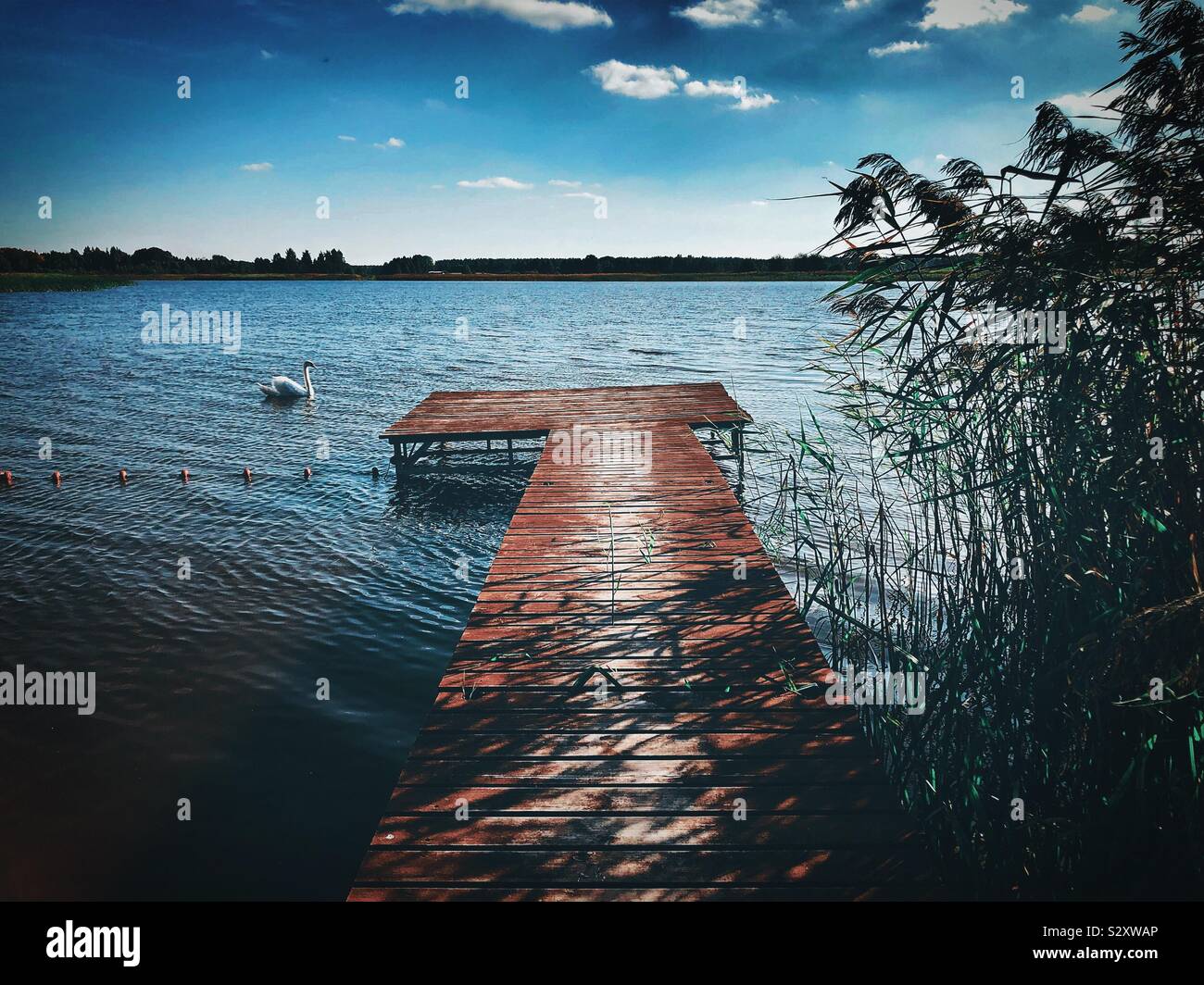 Wooden bridge on the lake Stock Photo - Alamy