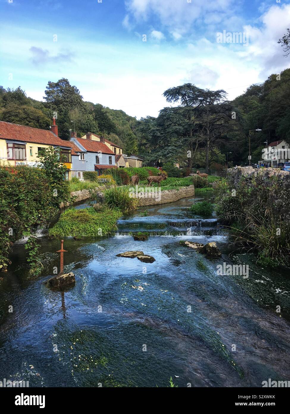 River scene with trees hi-res stock photography and images - Alamy
