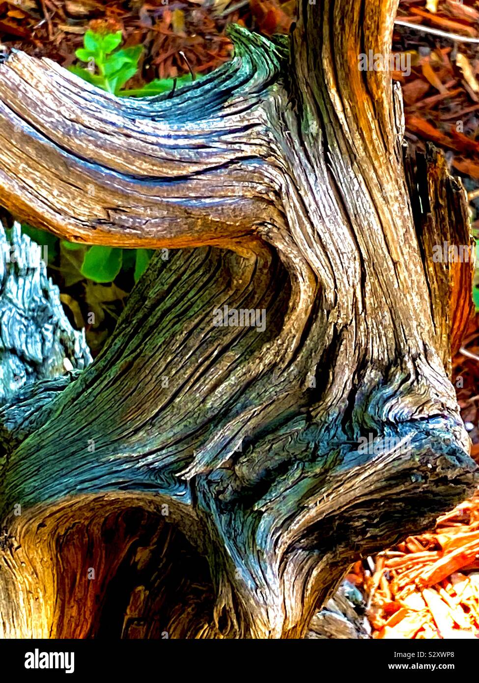 Wooden log hi-res stock photography and images - Alamy