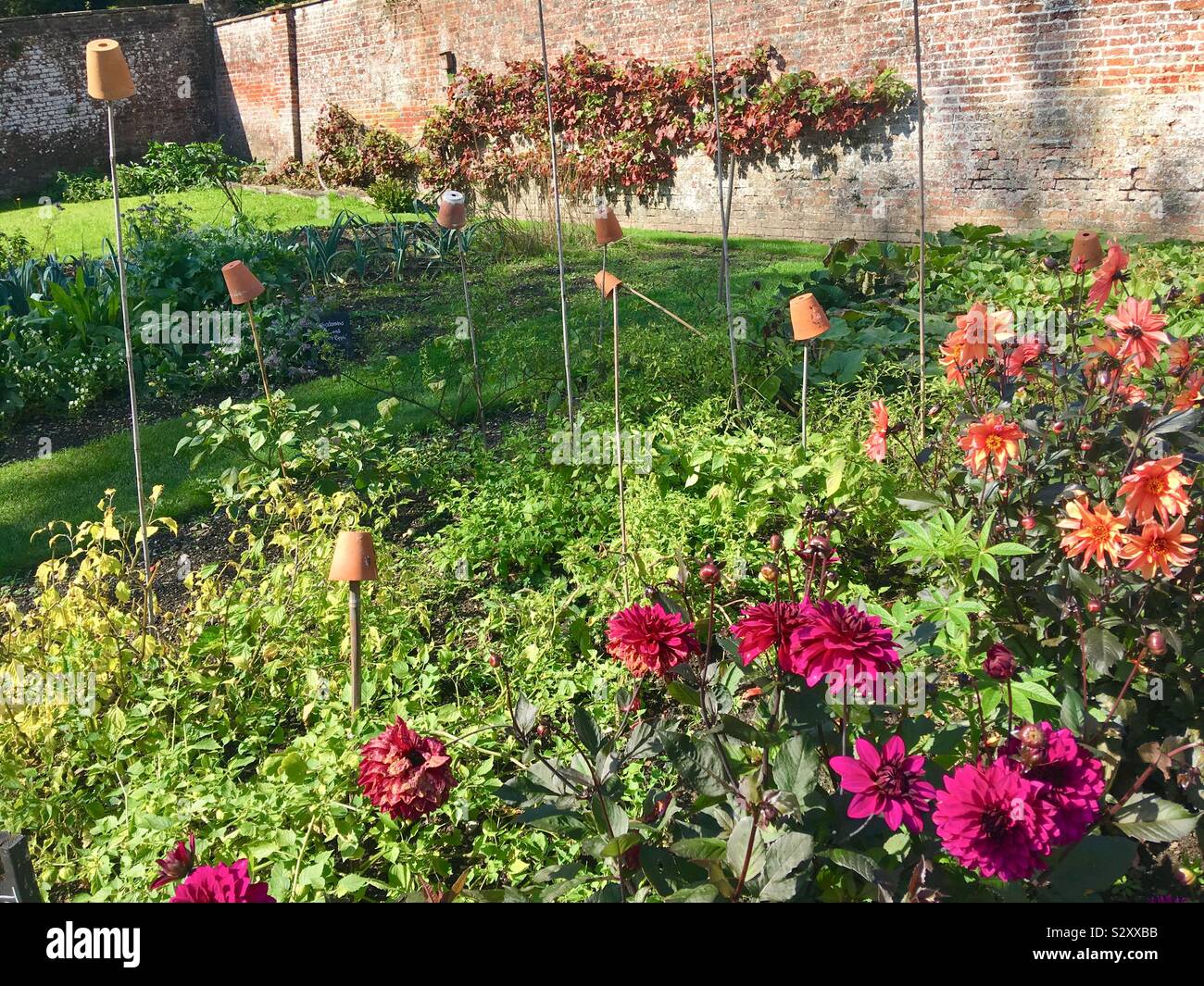 English kitchen garden hi-res stock photography and images - Alamy