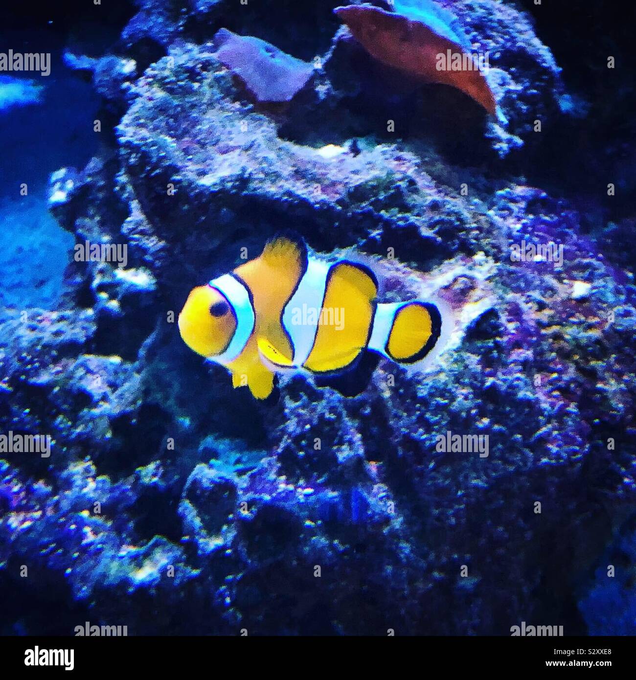 Finding memo hi-res stock photography and images - Alamy