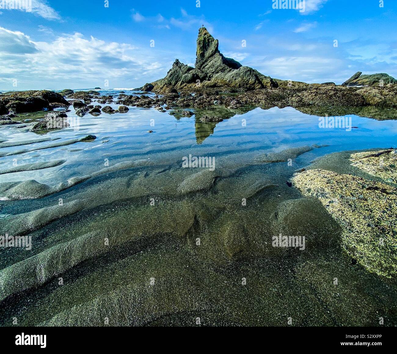 Sea stack and rock formations at Shi Shi beach, Olympic National park ...