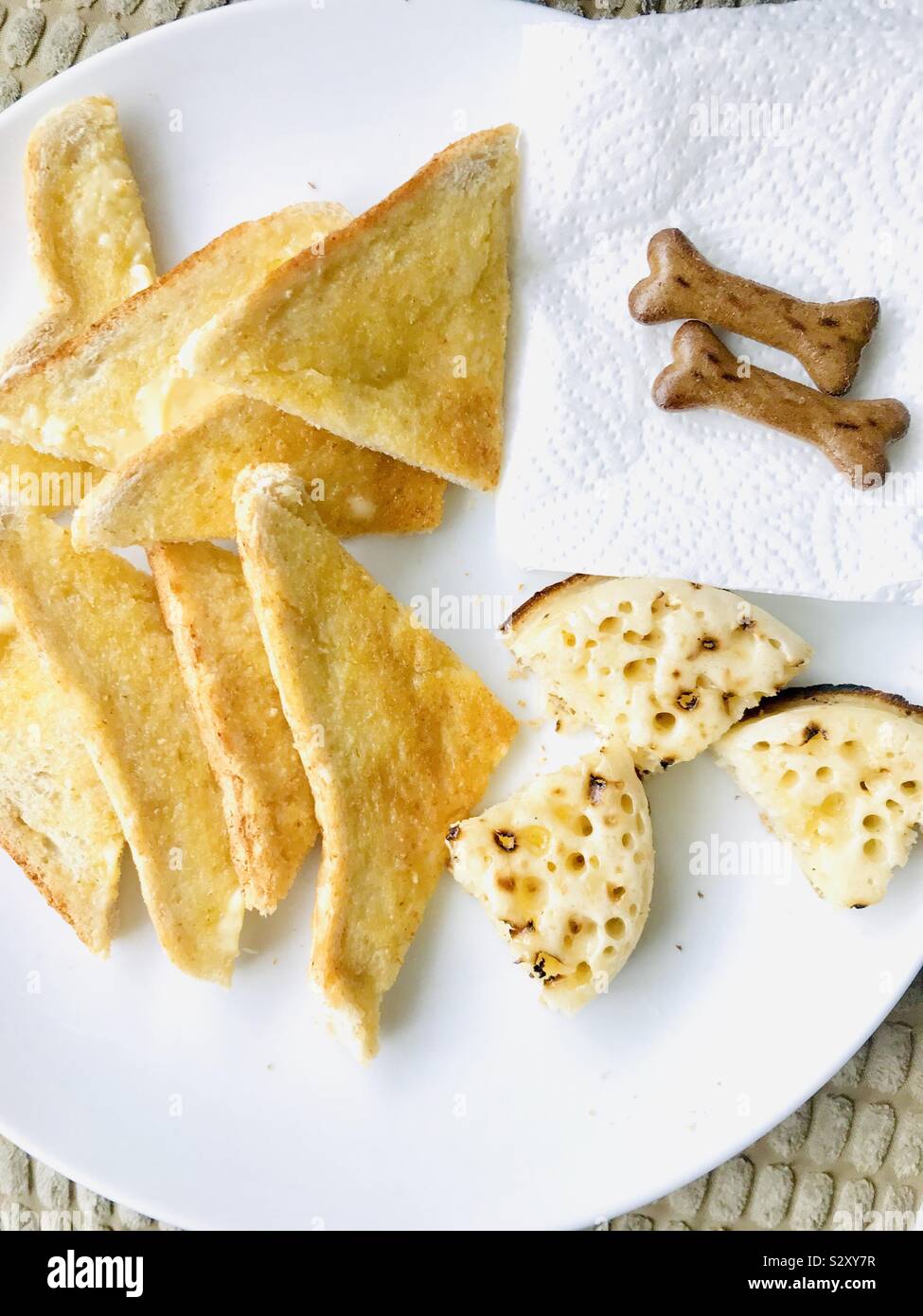 Human and dogs breakfast Stock Photo - Alamy