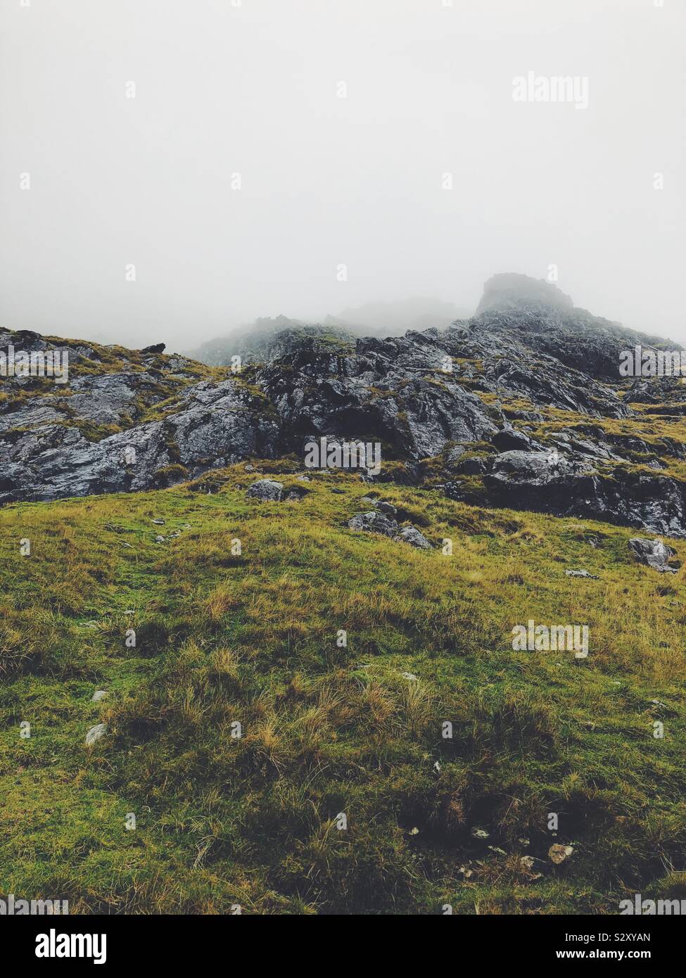 Mist rocks grass hi-res stock photography and images - Alamy