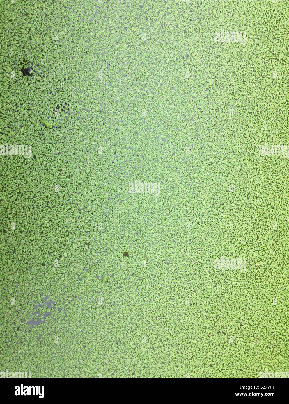 Micro pattern hi-res stock photography and images - Alamy