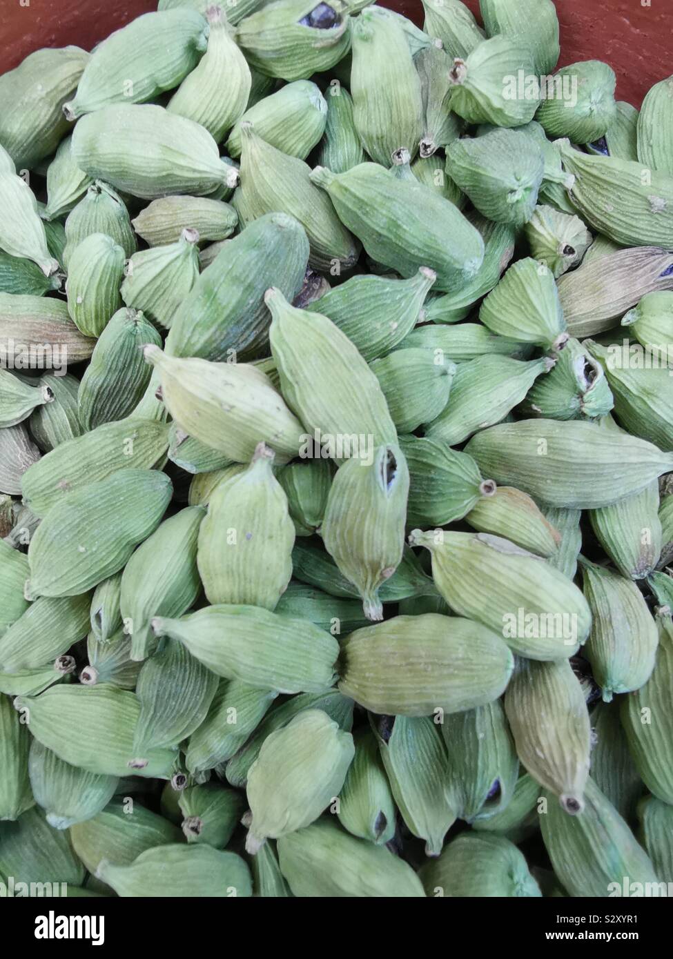 Cardamom hills hi-res stock photography and images - Alamy