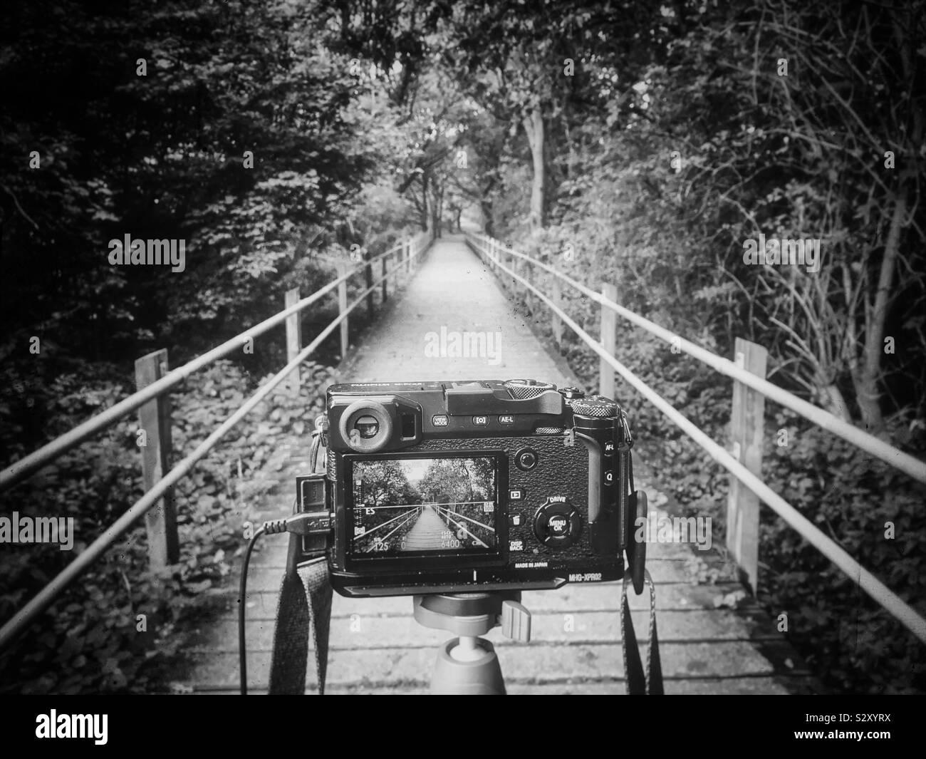 See through ovf hi-res stock photography and images - Alamy