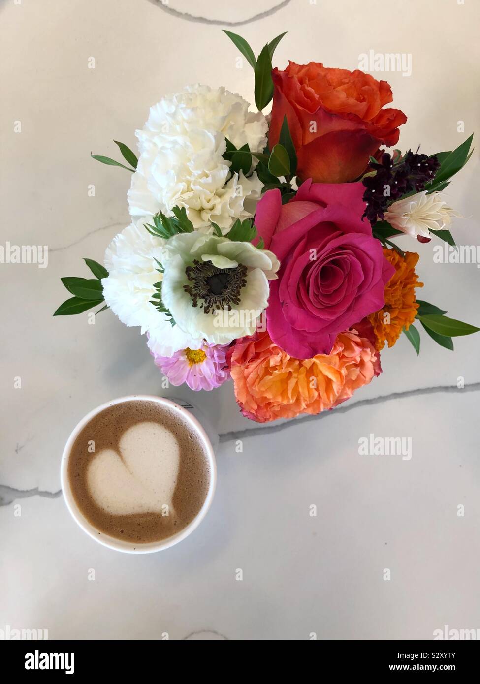 Latte color hi-res stock photography and images - Alamy