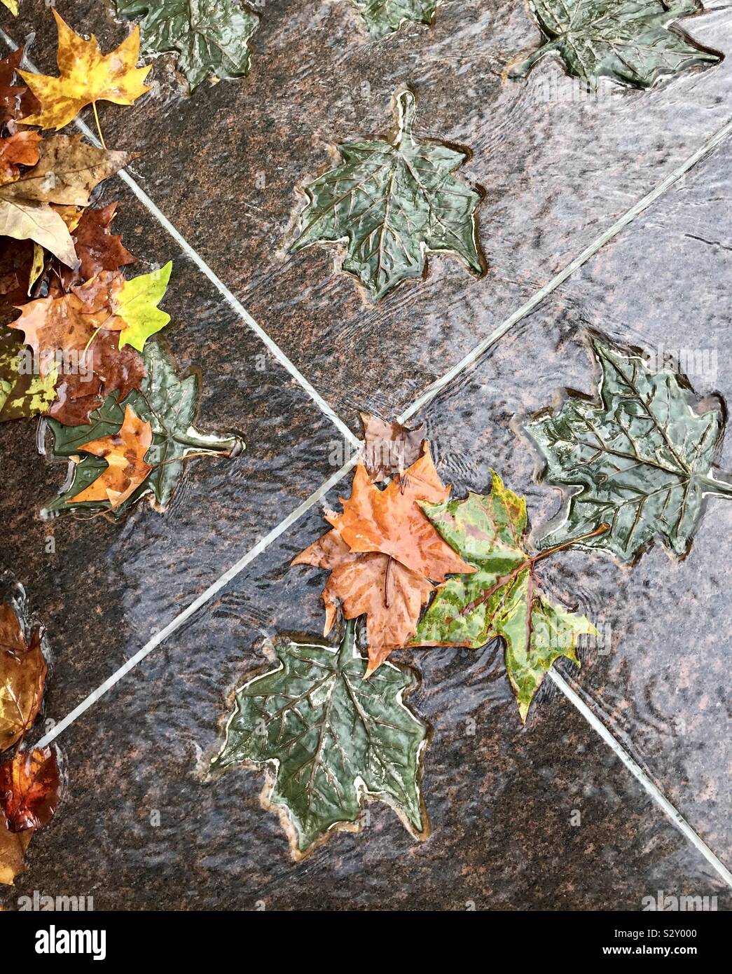 Autumn leaves which have settled at the bottom of a water feature Stock ...