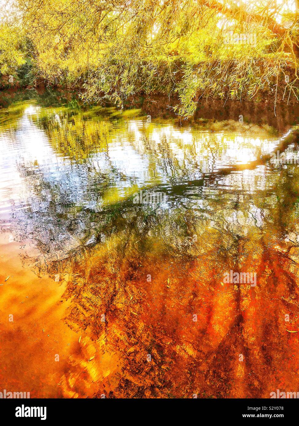 Reflections of people in a pond hi-res stock photography and images - Alamy