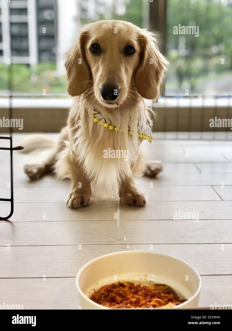 Salivating hi-res stock photography and images - Alamy