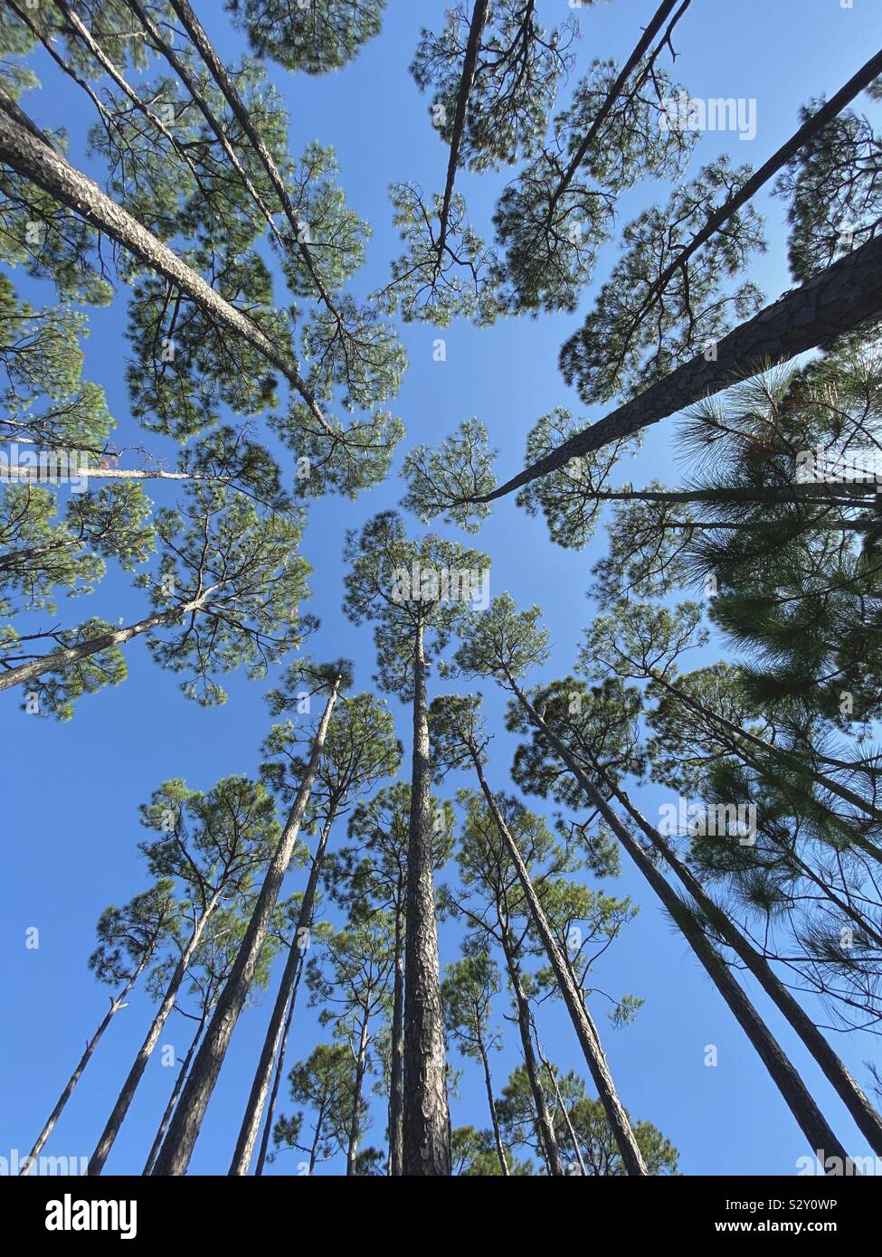 Different perspective hi-res stock photography and images - Alamy