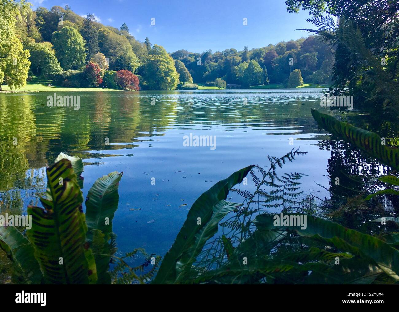 Stourhead gardens hi-res stock photography and images - Alamy