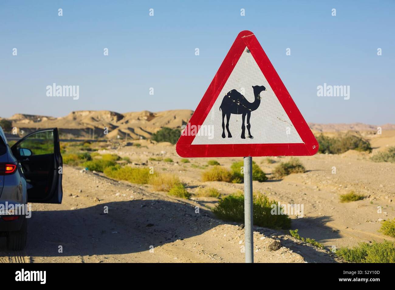 Sign about camels in desert Stock Photo - Alamy