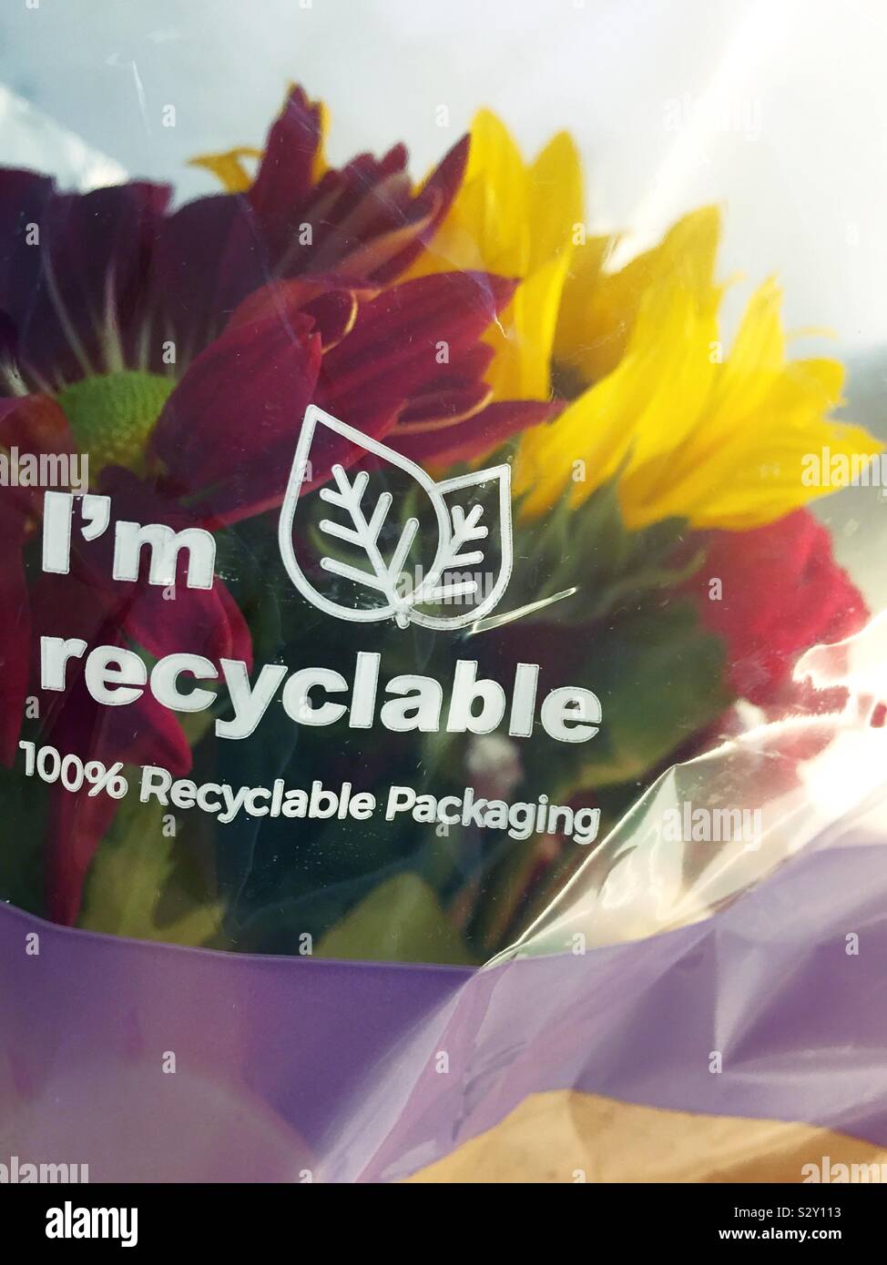 I’m recyclable, A 100% recyclable package for flowers purchased at a ...