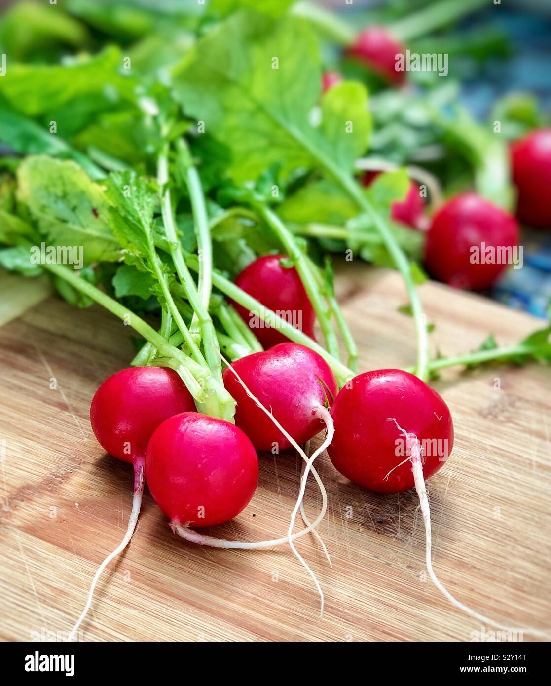 Crunchy radishes hi-res stock photography and images - Alamy