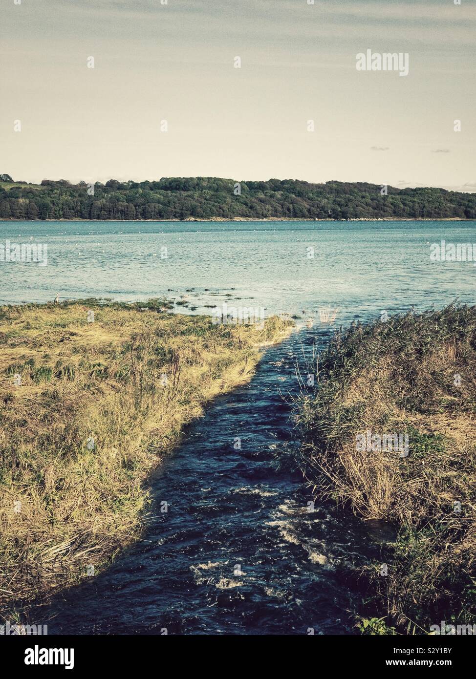 Stream streams hi-res stock photography and images - Alamy