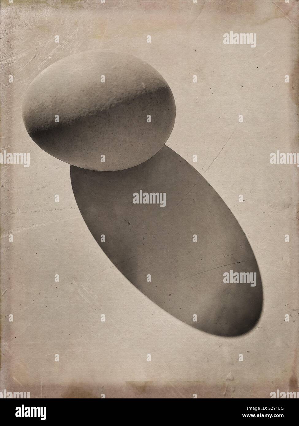 Still life image of a Single egg and it’s shadow Stock Photo - Alamy