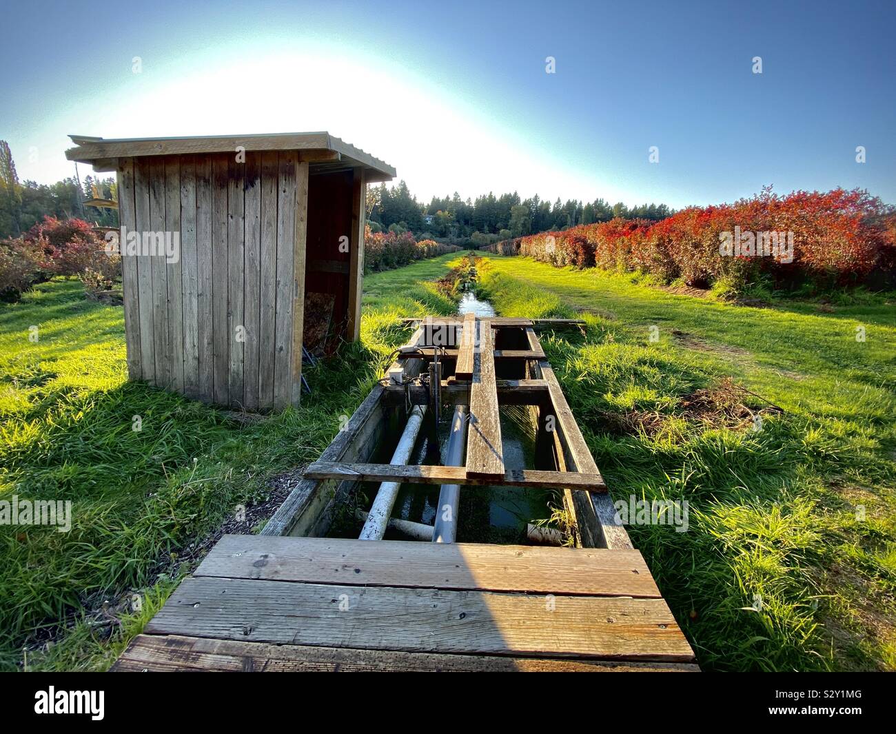 Irrigation canal, pipes, and shed to a blueberry farm in the Mercer ...