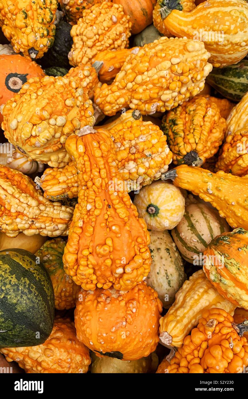 Fall squash hi-res stock photography and images - Alamy