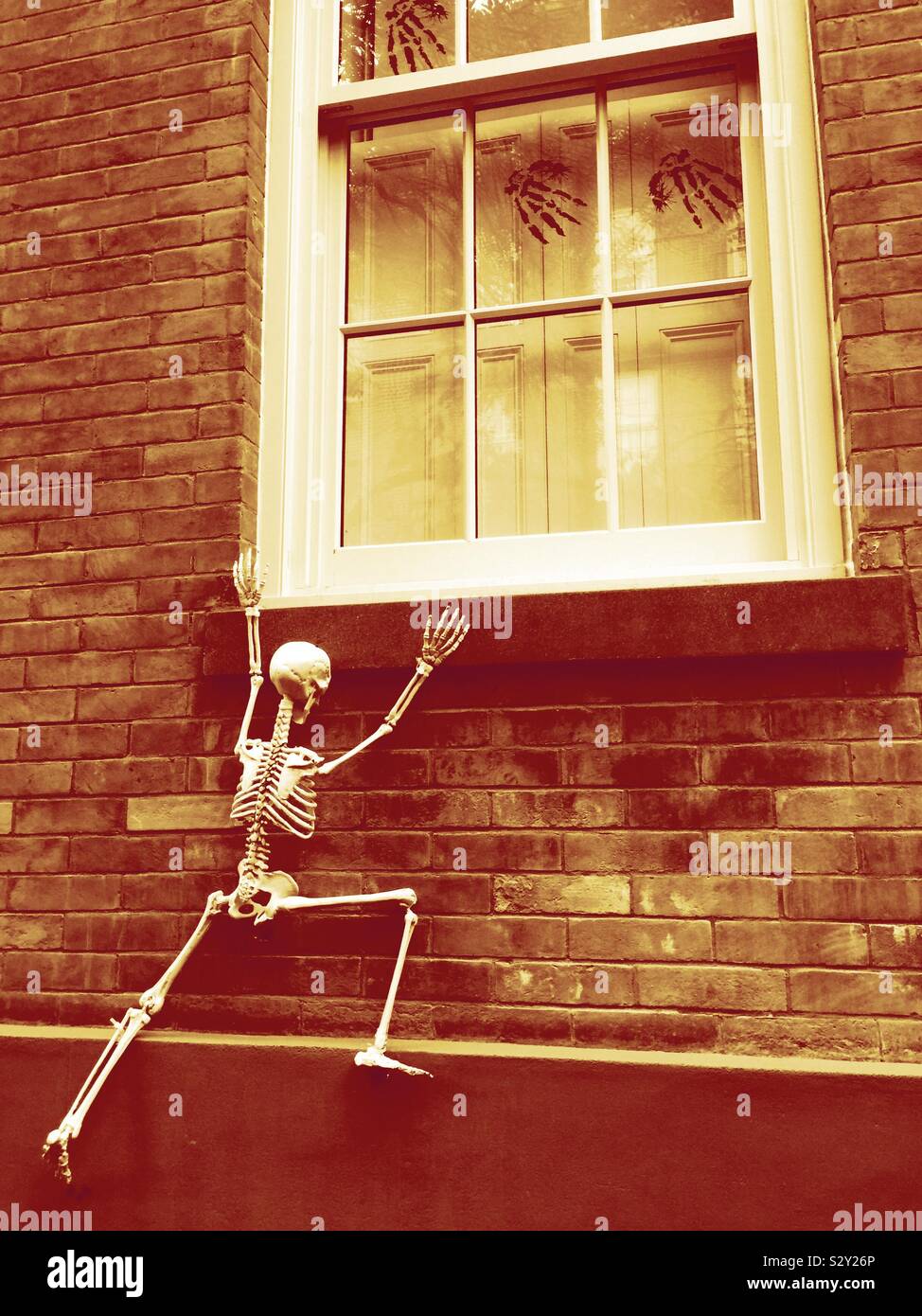 Halloween skeleton climbing to window that has blood red handprints ...
