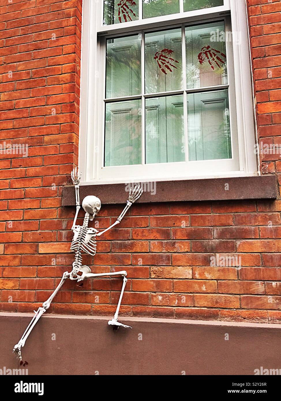 Halloween skeleton climbing to window with blood red handprints Stock ...