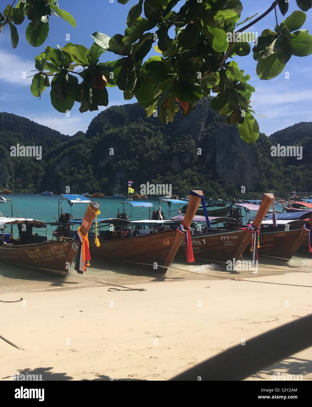 Tail boats on Phi phi islands Stock Photo - Alamy