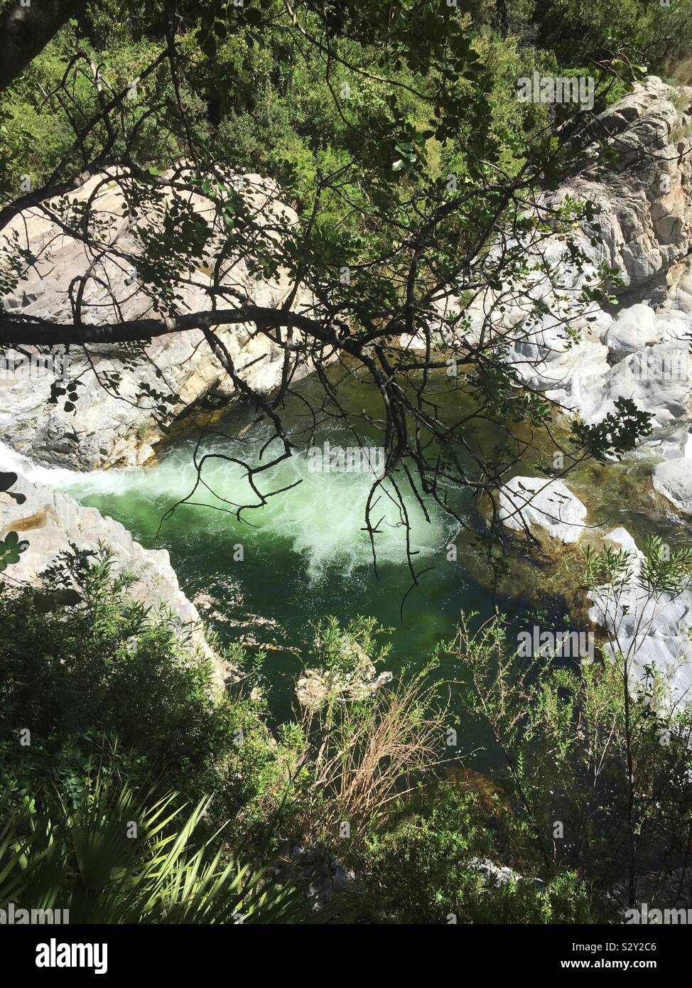 Fancy a dip Stock Photo - Alamy