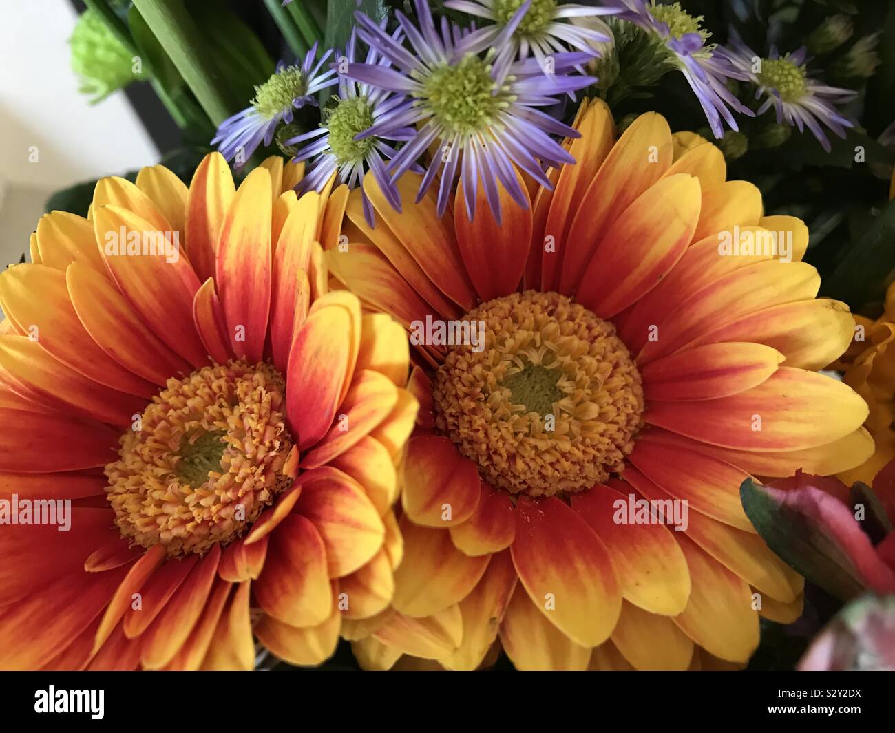 How beautiful am I Stock Photo - Alamy