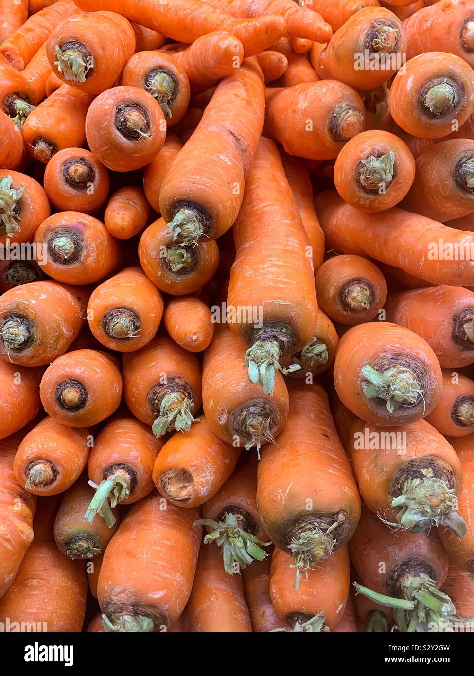 Giant carrots hi-res stock photography and images - Alamy