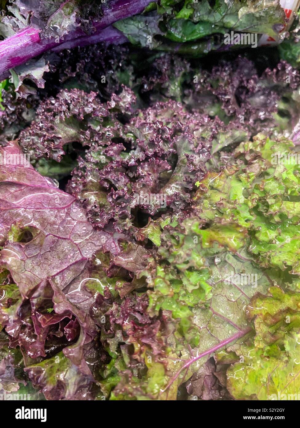 Purple kale hi-res stock photography and images - Alamy