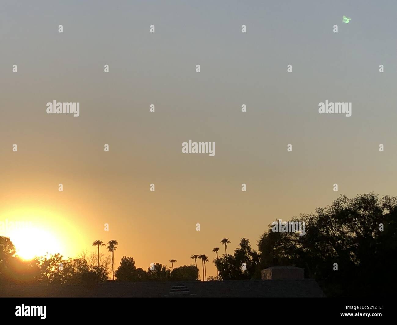 Gradient of trees hi-res stock photography and images - Alamy