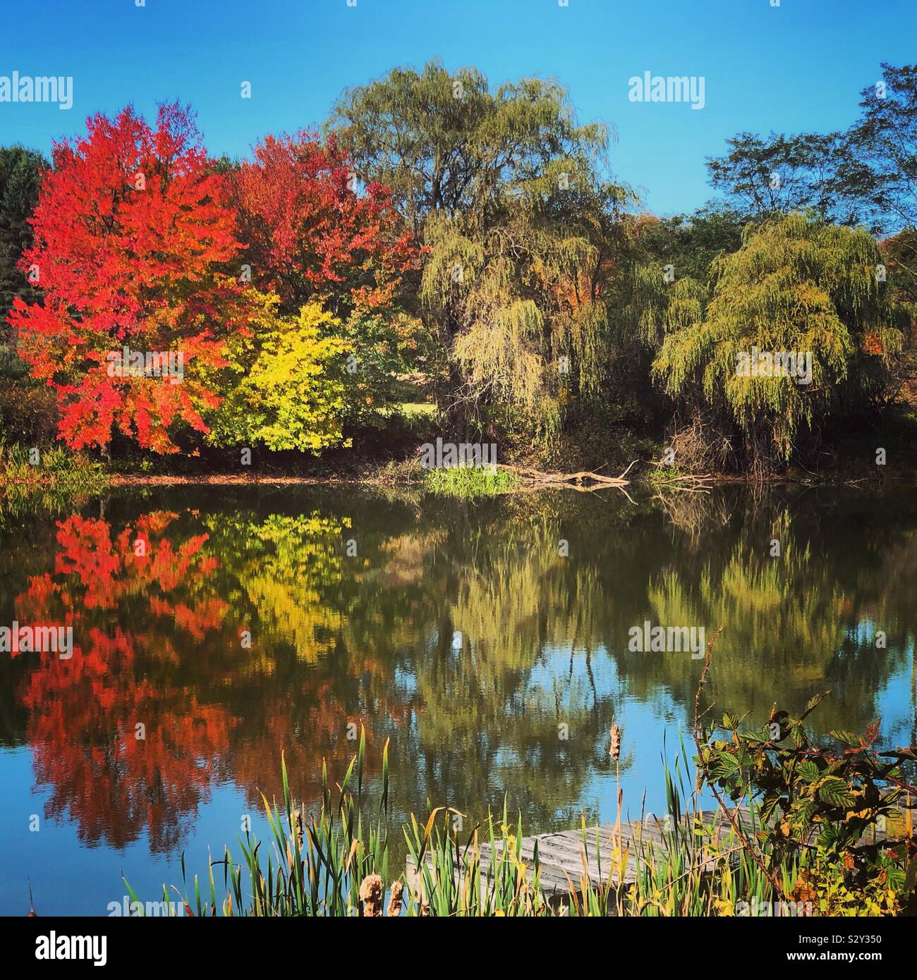 Hello fall hi-res stock photography and images - Alamy