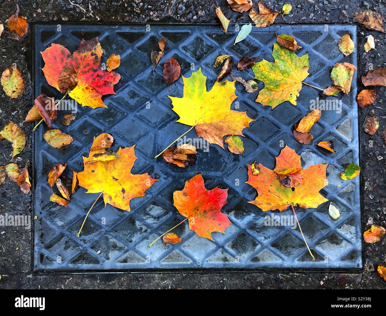 Inspection cover hi-res stock photography and images - Alamy