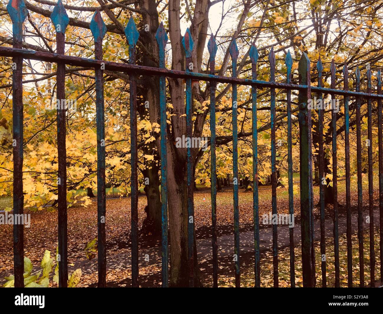 Autumn Park Railings Stock Photo - Alamy