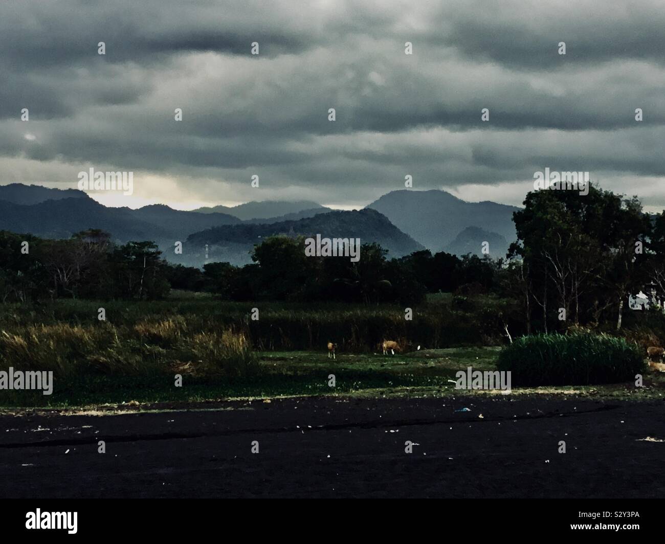 What a dark day ahead, gloomy morning features Stock Photo - Alamy