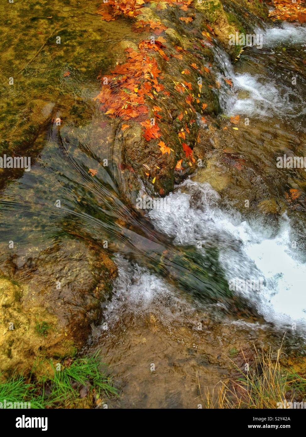 Moisture and Autumn leaves, Waterfall Stock Photo - Alamy