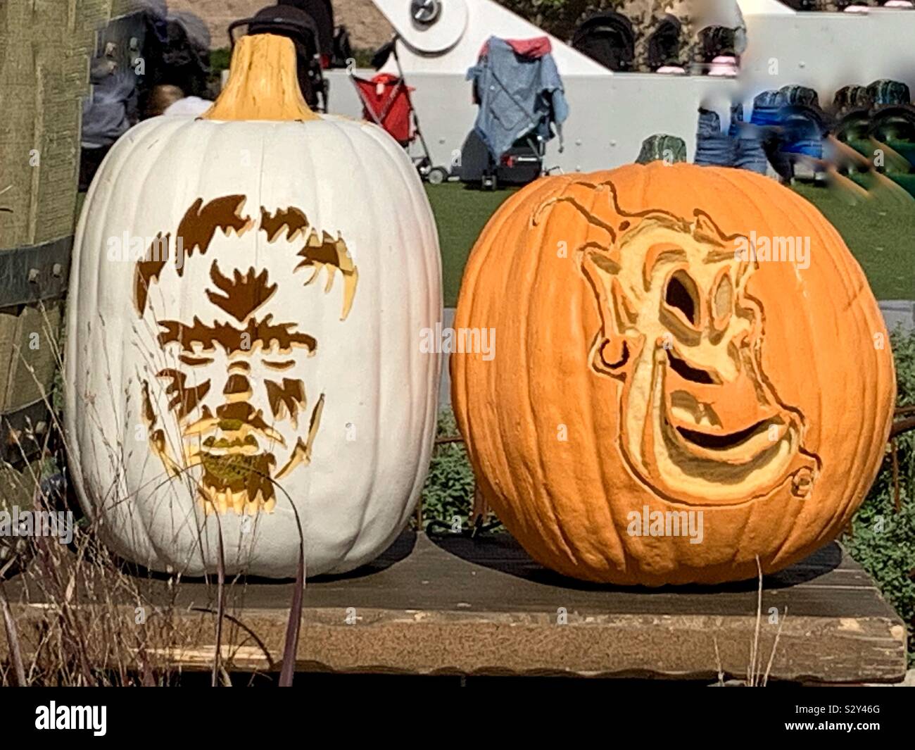 One pumpkins hi-res stock photography and images - Alamy