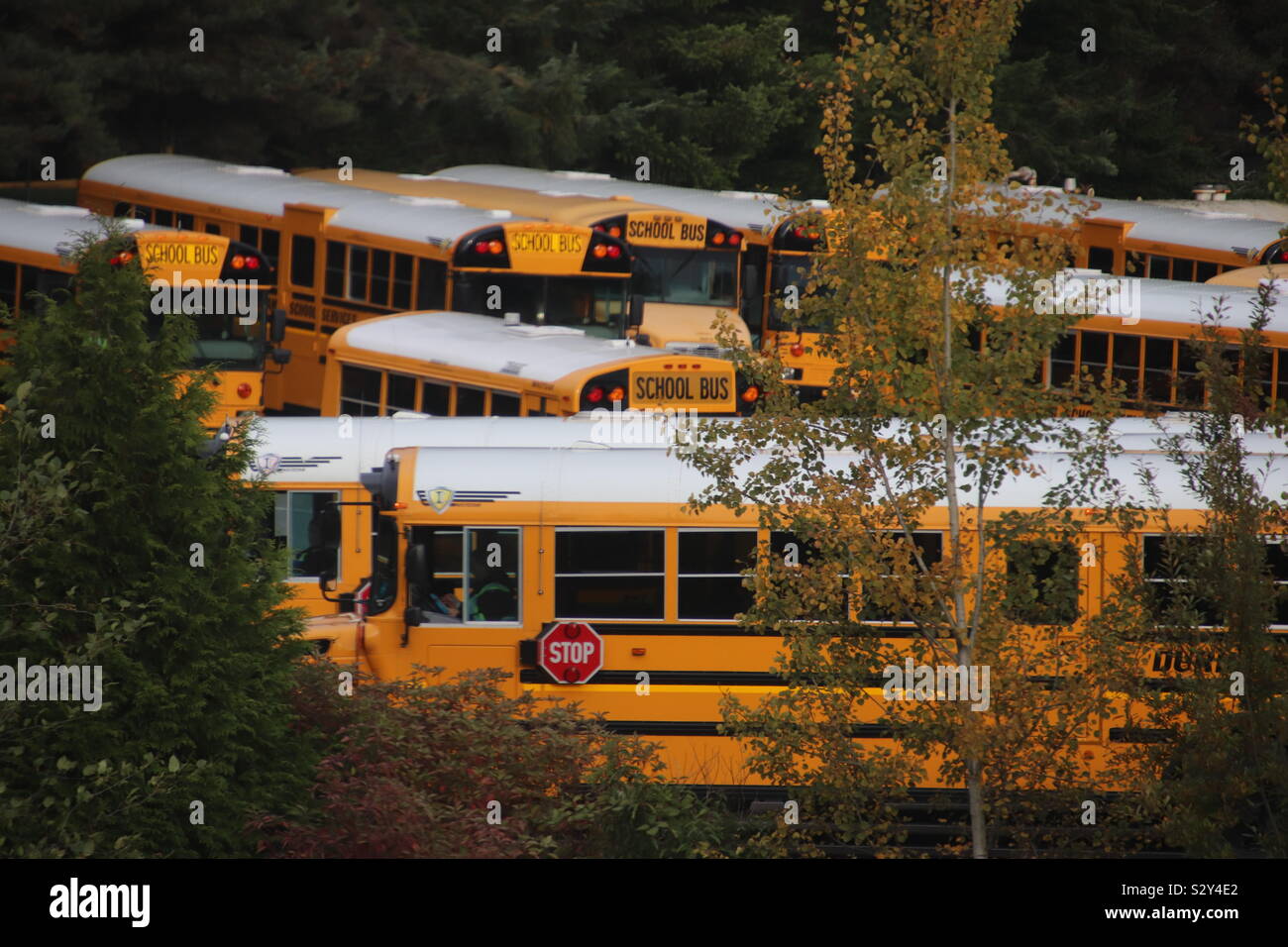 Transportation of school students is a top priority each weekday to the ...