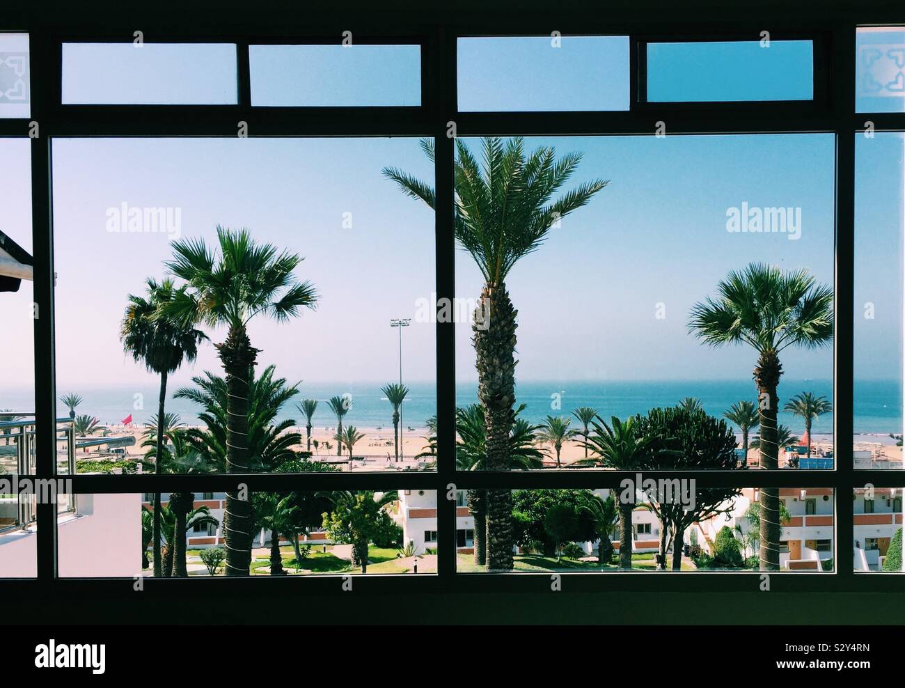 Framing palm tree hi-res stock photography and images - Alamy