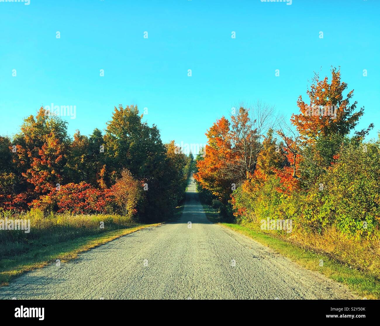 Canada rural smartphone stock photos and images - Alamy