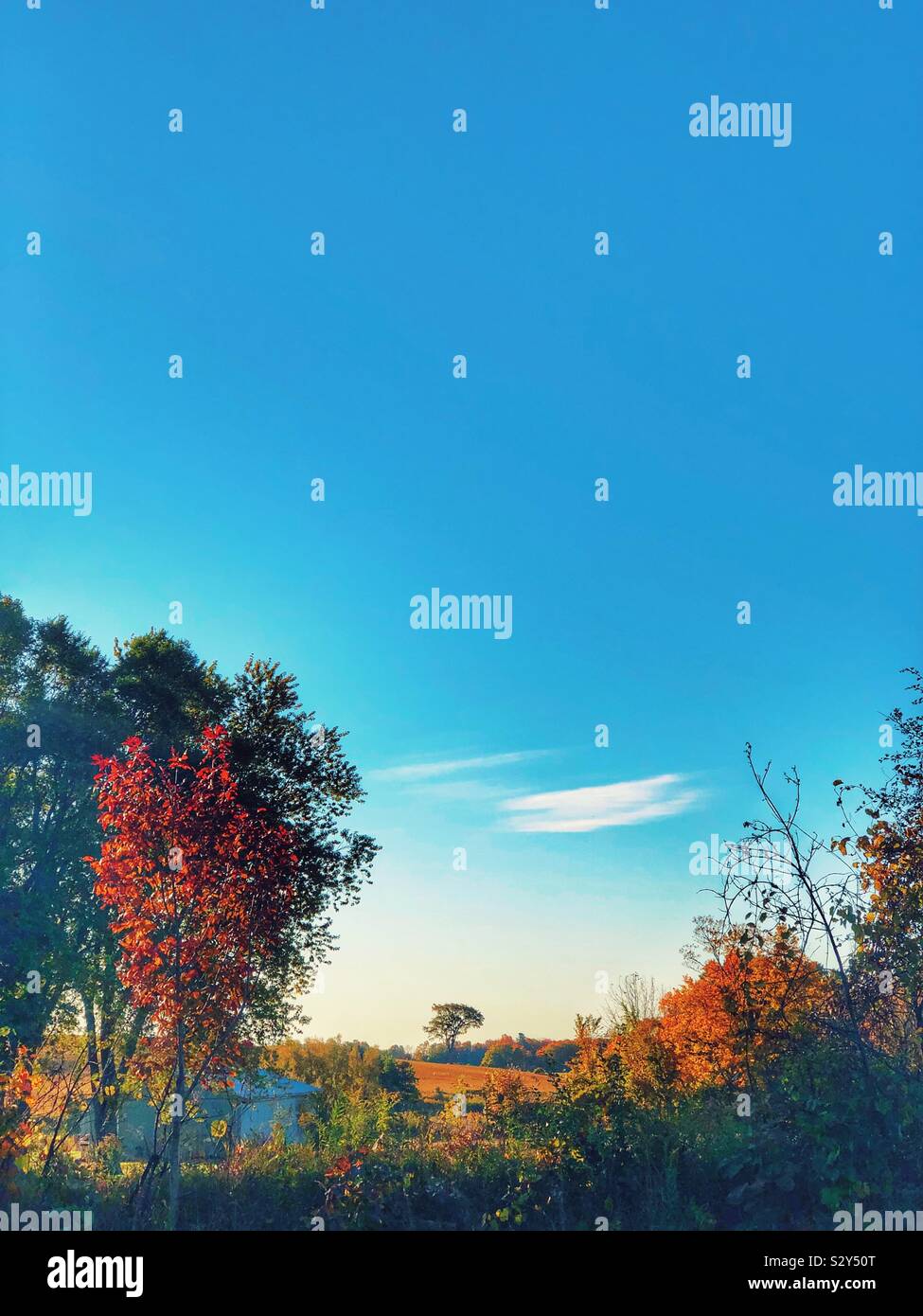 Rural Ontario, Canada scene with autumn trees and blue sky Stock Photo ...