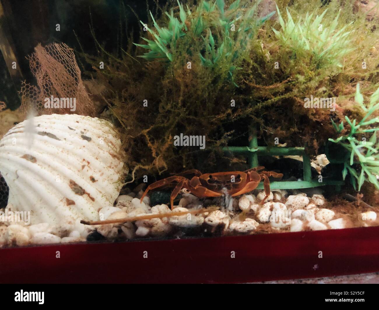 Tippity hi-res stock photography and images - Alamy