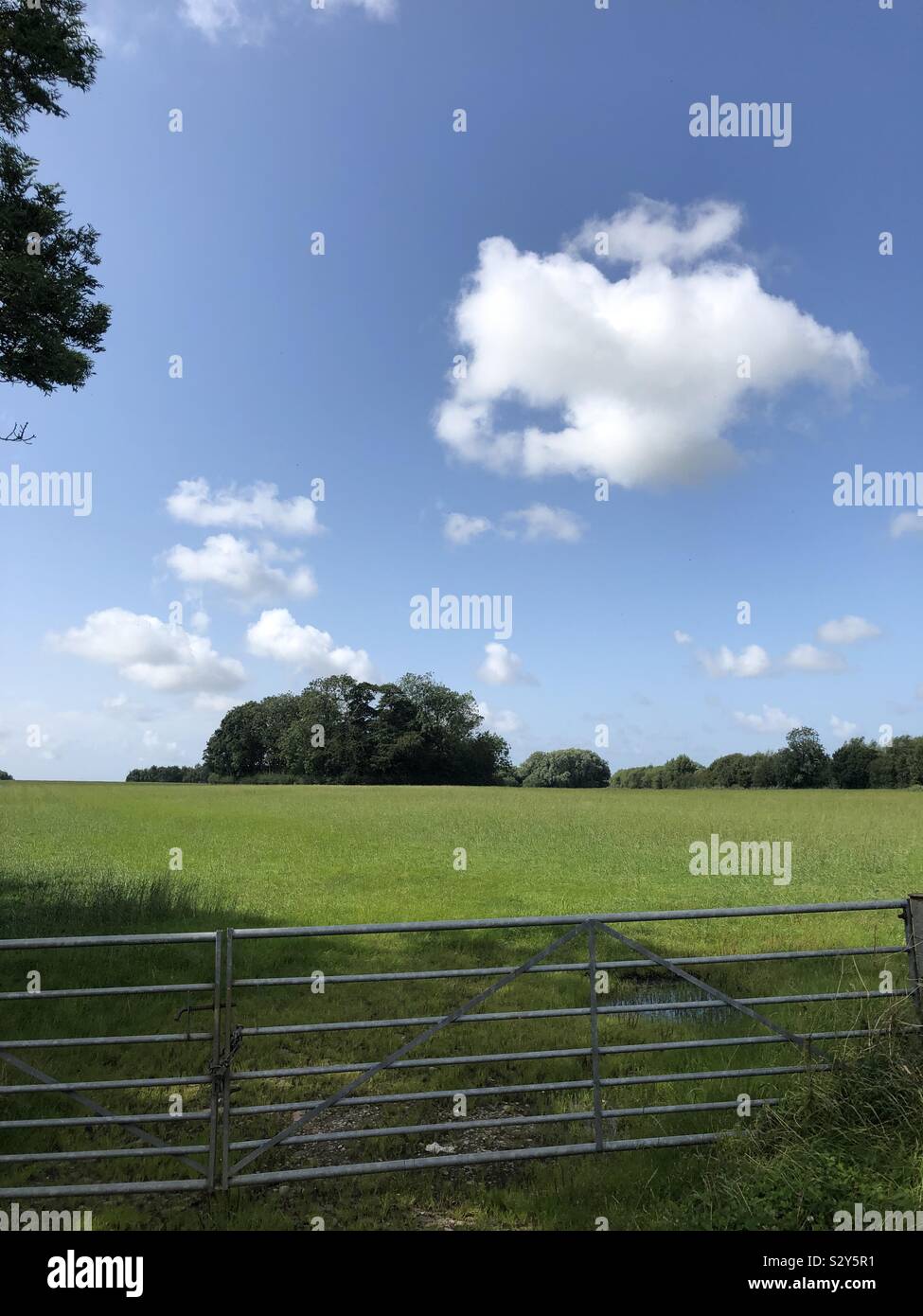Out Rawcliffe, round the world, walk Stock Photo - Alamy