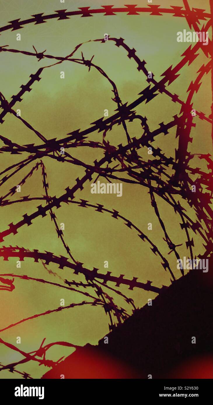 Tangled razor wire on a wall, with yellow sky Stock Photo - Alamy
