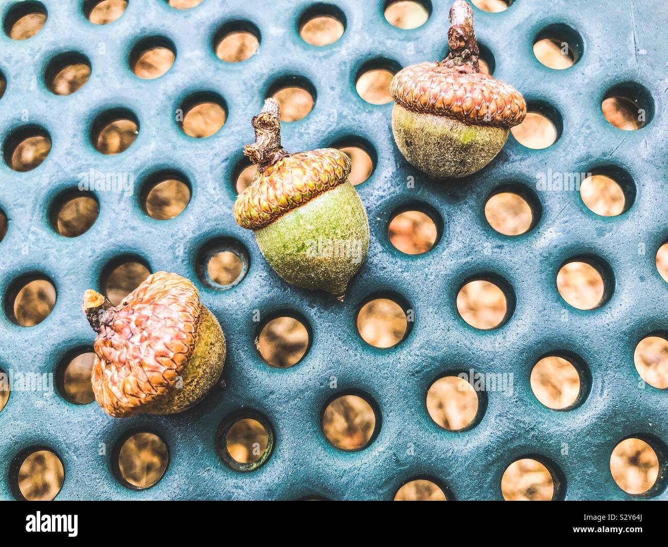 Bench diagonal hi-res stock photography and images - Alamy