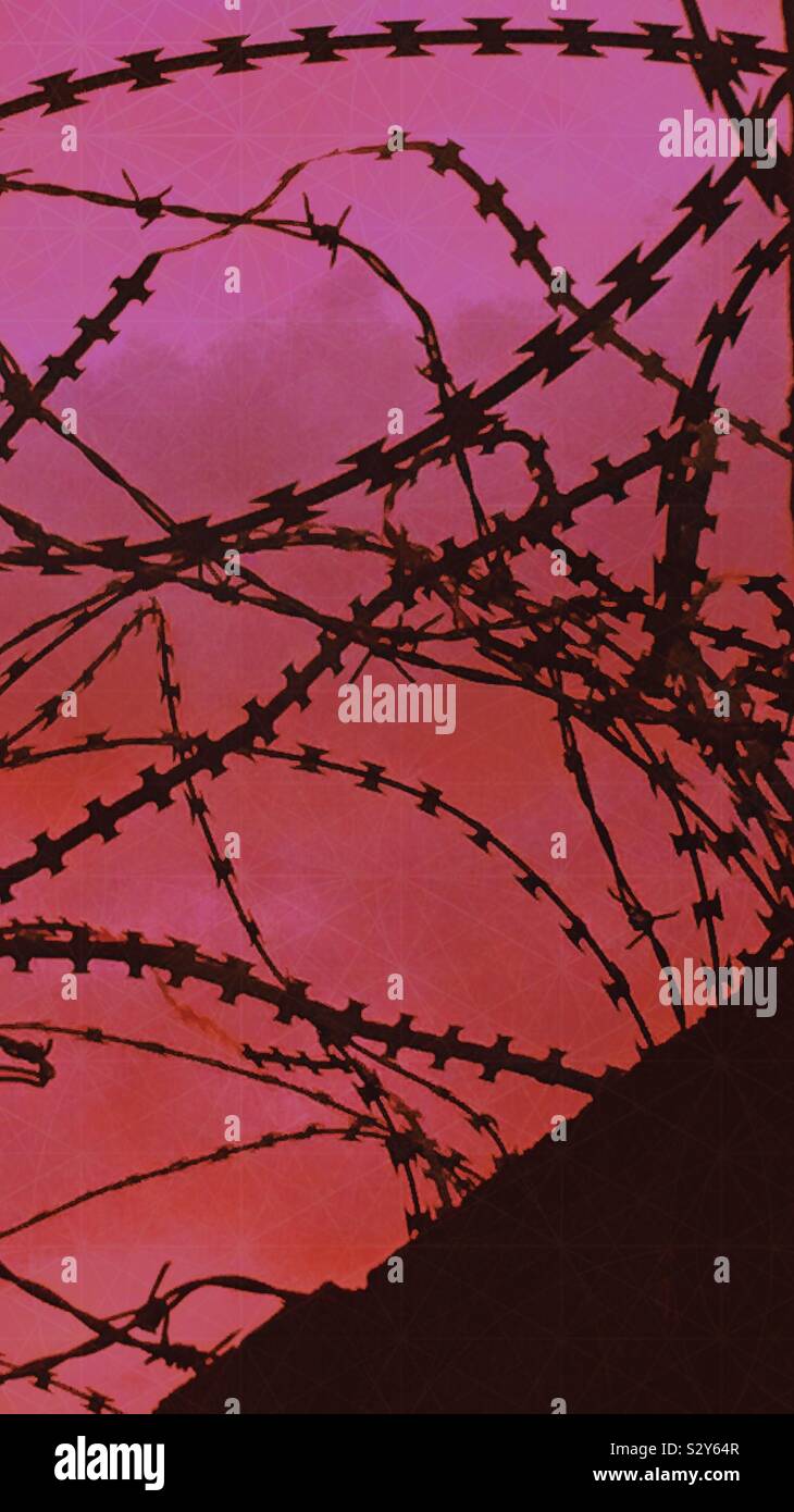 Razor wire wall hi-res stock photography and images - Alamy